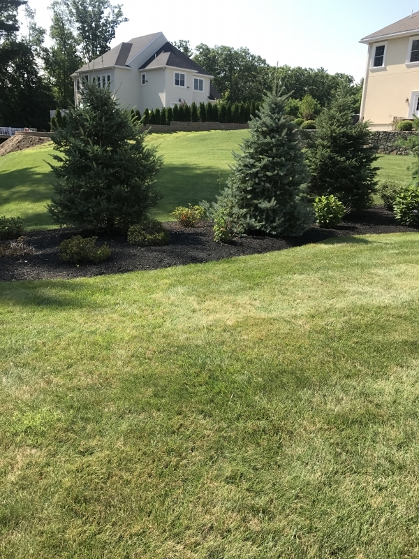 Landscape – Sunrise Landscaping
